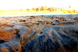 Journey To Secret Beach in Austin| The gem of Texas