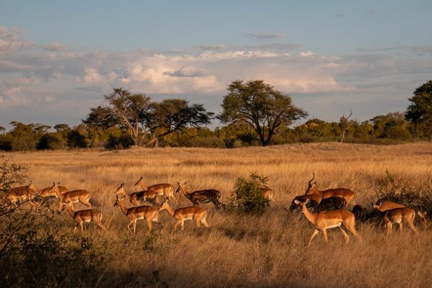 5 Unforgettable Places to Visit in Zimbabwe - Trip and Travel Blog