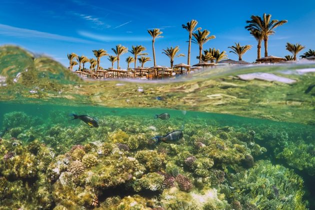 5 Things to Do in Hurghada - The Maldives of Egypt
